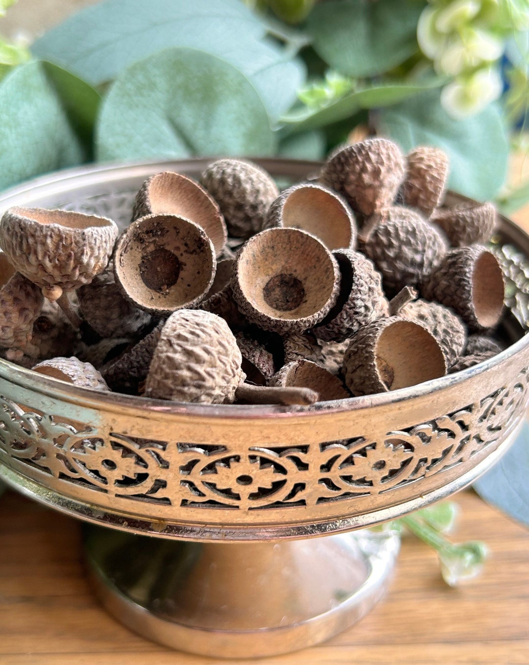 Acorn Caps for Felt Pom Pom Craft With Natural Acorn Cap for Fall ...