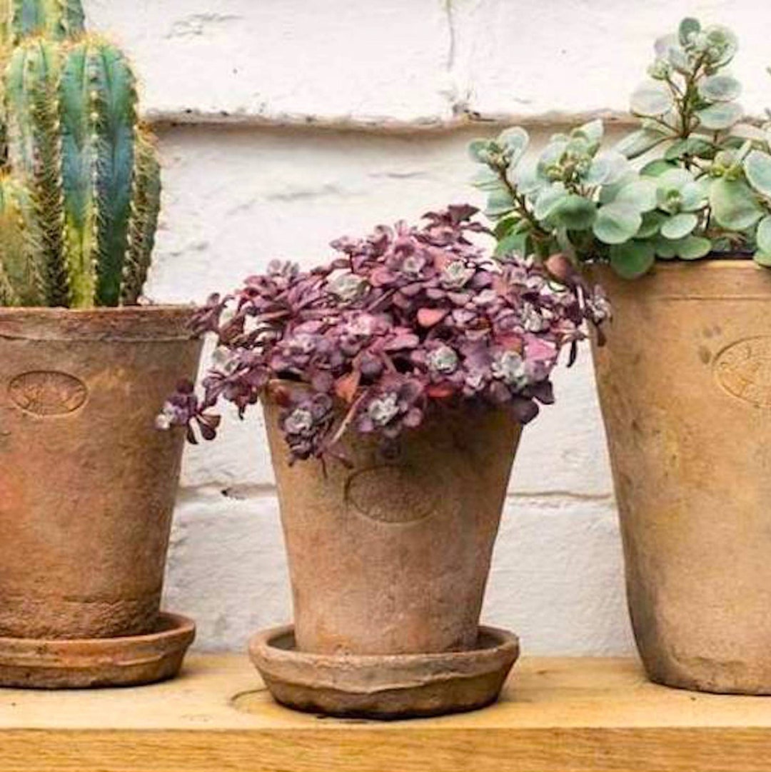 Set of Three Handmade Terracotta Pots - Etsy UK
