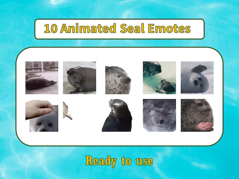 10 Animated Seal Emotes Pack | Twitch Meme Emotes | Discord Emotes ...