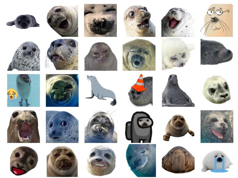 90 Seal Emotes Pack | Memes | Static | Twitch Emotes | Discord Emotes ...