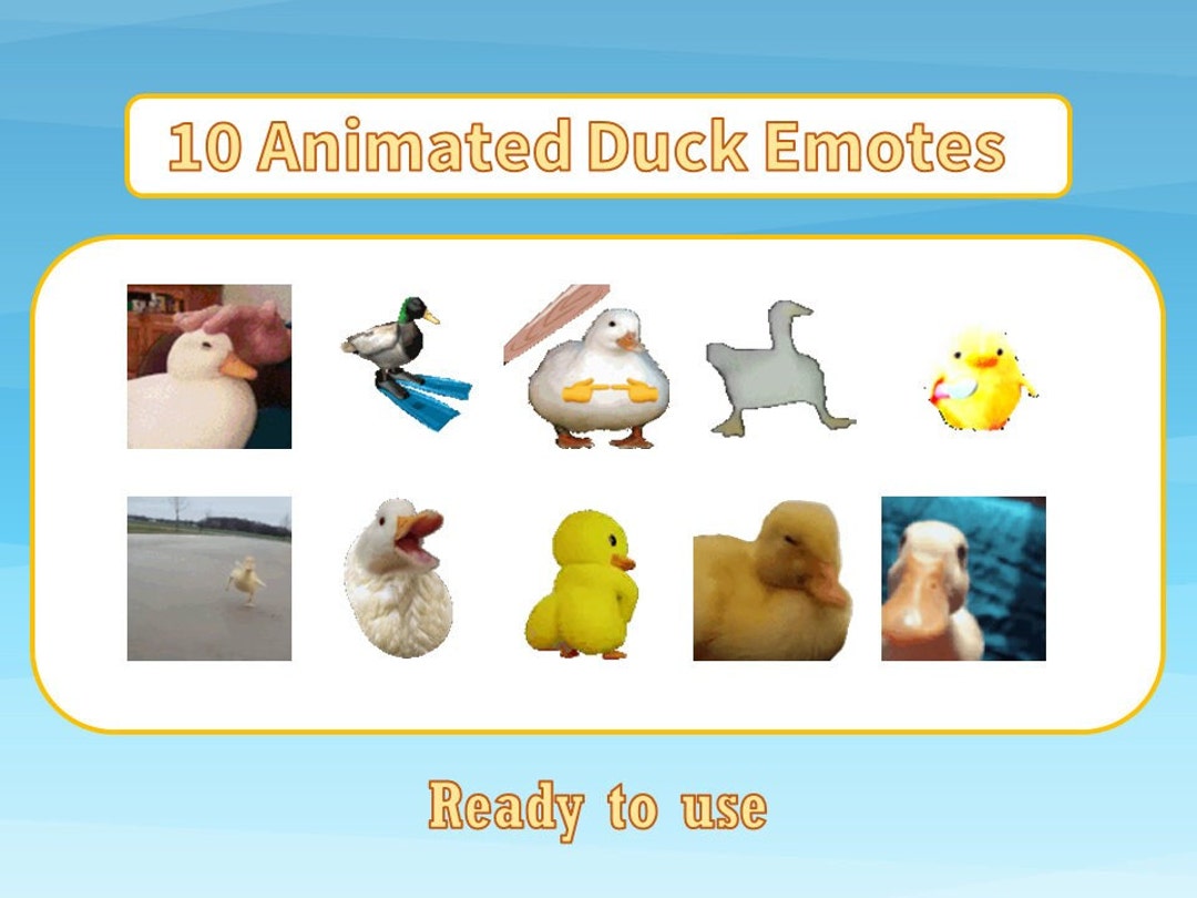 10 Animated Duck Emotes Pack Twitch Meme Emotes Discord Emotes Emotes ...