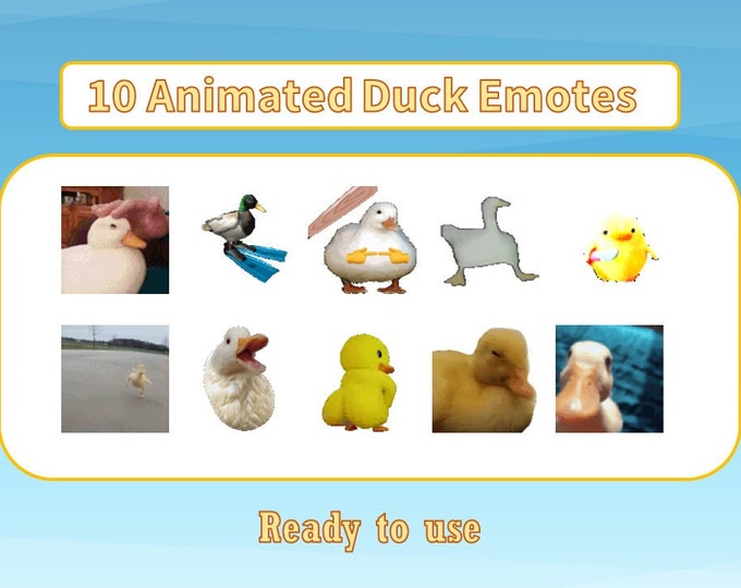 10 Animated Duck Emotes Pack | Twitch Meme Emotes | Discord Emotes ...