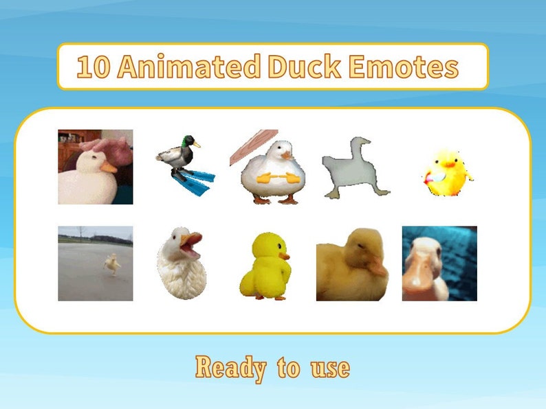 10 Animated Duck Emotes Pack | Twitch Meme Emotes | Discord Emotes ...