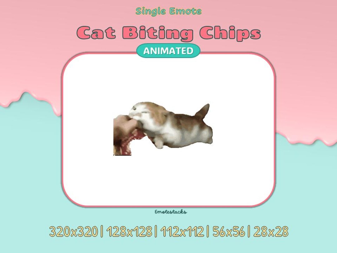 Cat Biting Chips Animated Emote | Single Emote | Twitch Cat Emotes ...