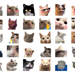 170 Cat Emotes Pack #2 | Twitch Emotes | Discord Emotes | Cute Cat ...