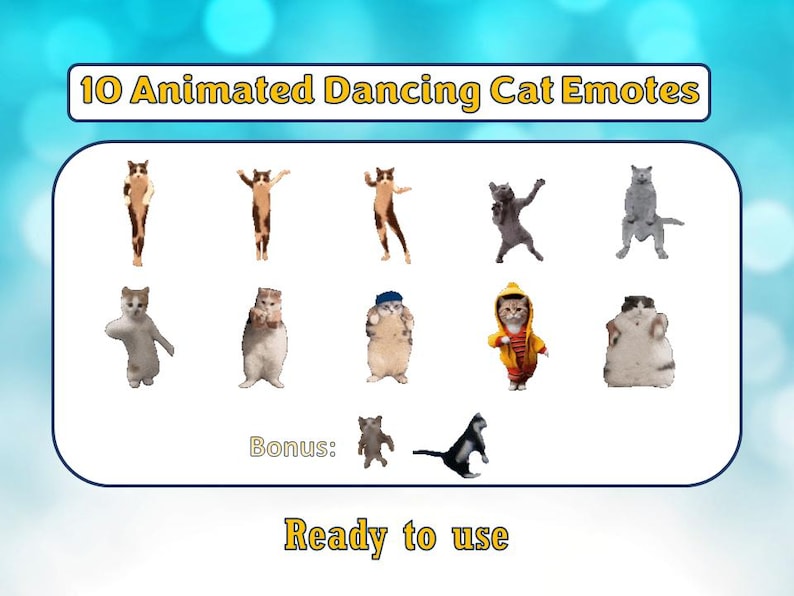 10 Popular Animated Cat Dancing Emotes Pack | Twitch Meme Emotes ...