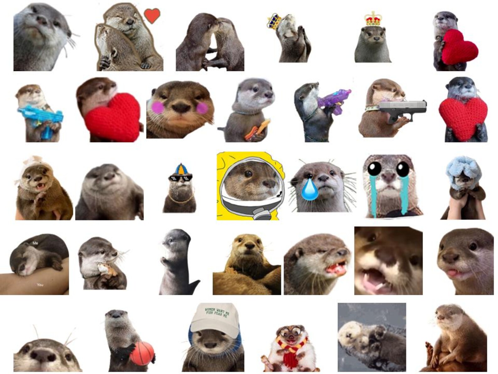 60 Otter Emotes Pack | Sea Otter | Twitch Emotes | Discord Emotes ...