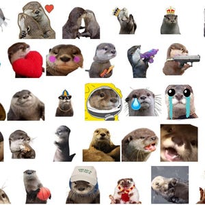 60 Otter Emotes Pack | Sea Otter | Twitch Emotes | Discord Emotes ...