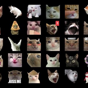 170 Cat Emotes Pack #2 | Twitch Emotes | Discord Emotes | Cute Cat ...