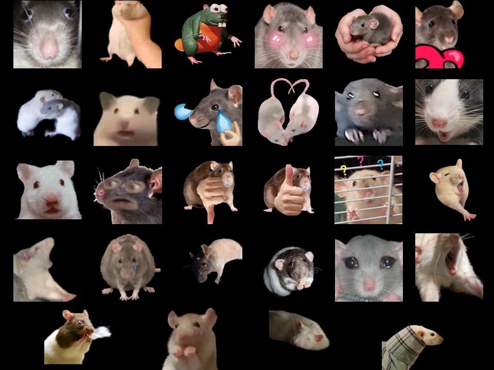 50 Rat Emotes Pack | Mouse | Static | Twitch Emotes | Discord Emotes ...
