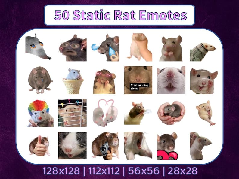 50 Rat Emotes Pack | Mouse | Static | Twitch Emotes | Discord Emotes ...
