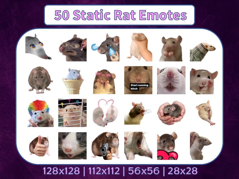 50 Rat Emotes Pack | Mouse | Static | Twitch Emotes | Discord Emotes ...