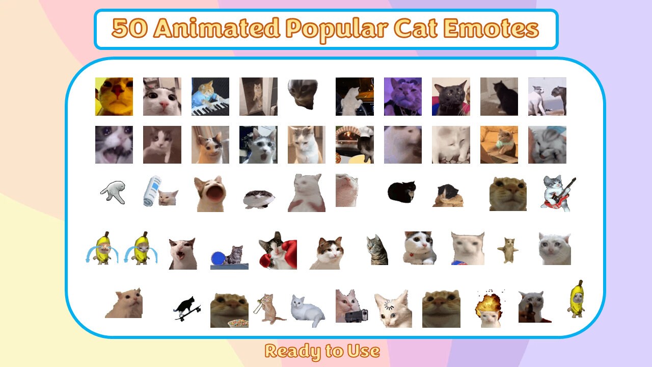 50 Popular Animated Cat Emotes Pack | Twitch Meme Emotes | Discord ...