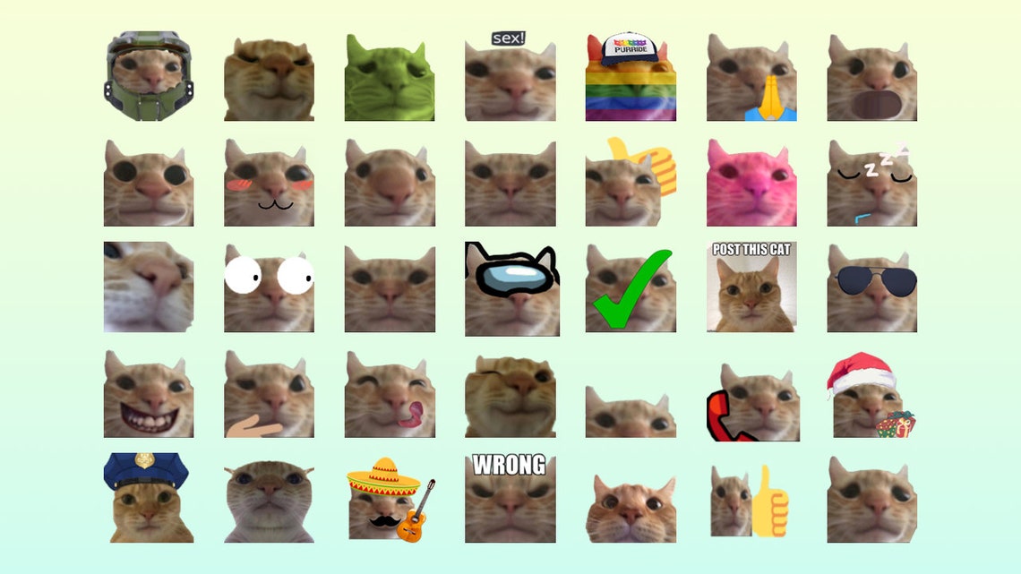 70 Staring Cats Emotes for Twitch and Discord | Twitch Meme Emotes ...