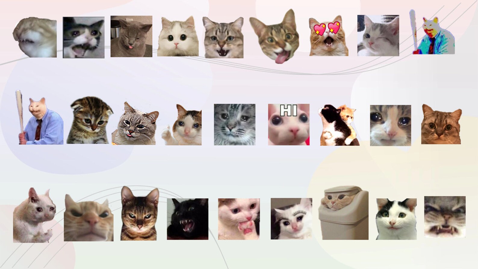170 Cat Emotes Pack Twitch Emotes Discord Emotes Cute Cat Emotes for ...