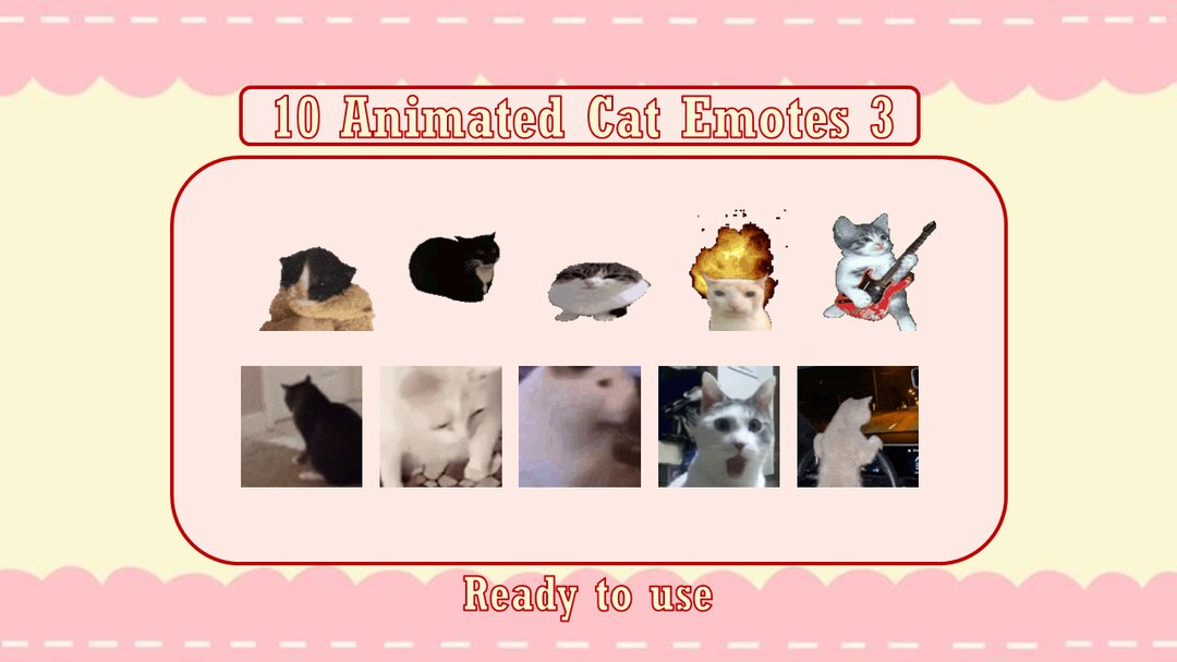 10 Popular Animated Cat Emotes Pack 3 | Huh Cat | Twitch | Discord ...