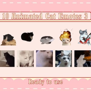 10 Popular Animated Cat Emotes Pack 3 | Huh Cat | Twitch | Discord ...