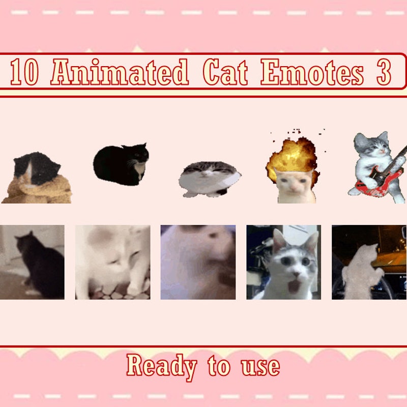 Funny Cat Animated Emotes - Etsy
