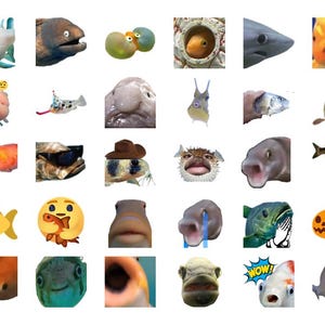 60 Fish Emotes Pack | Static | Twitch Emotes | Discord Emotes | Text ...
