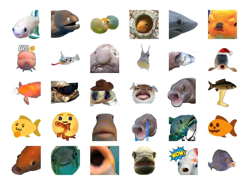 60 Fish Emotes Pack | Static | Twitch Emotes | Discord Emotes | Text ...