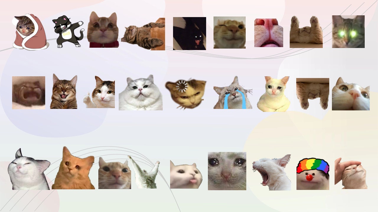 170 Cat Emotes Pack Twitch Emotes Discord Emotes Cute Cat Emotes for ...