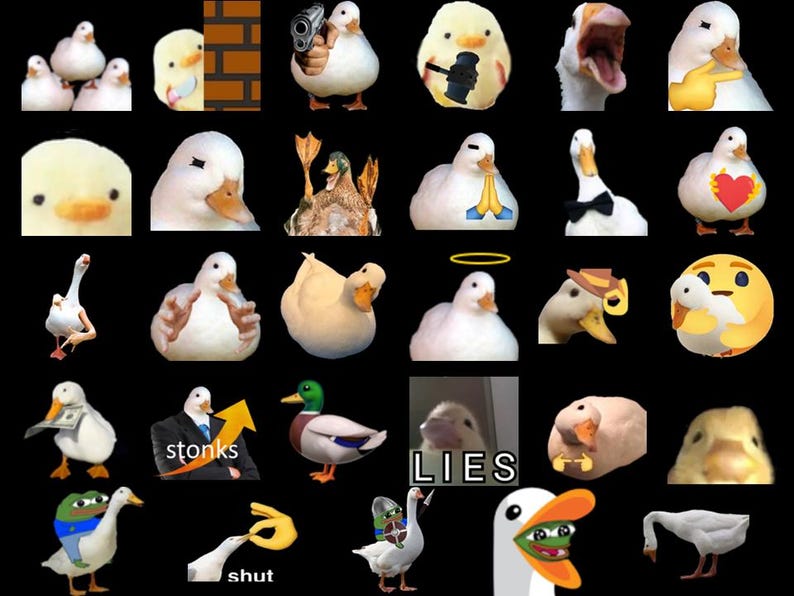 50 Duck Emotes Pack | Goose | Static | Twitch Emotes | Discord Emotes ...