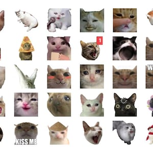 170 Cat Emotes Pack #2 | Twitch Emotes | Discord Emotes | Cute Cat ...