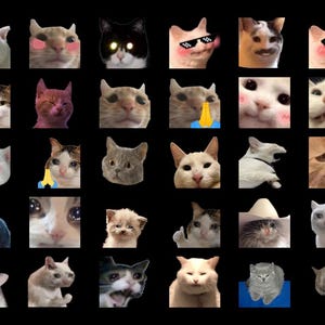 170 Cat Emotes Pack #2 | Twitch Emotes | Discord Emotes | Cute Cat ...