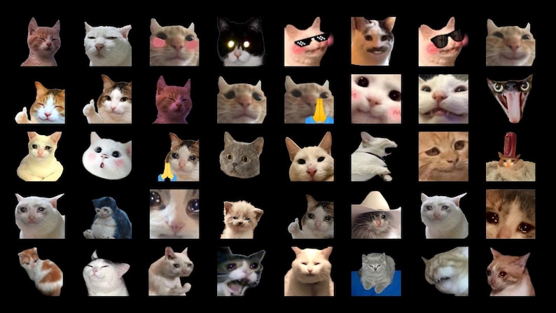 170 Cat Emotes Pack #2 | Twitch Emotes | Discord Emotes | Cute Cat ...