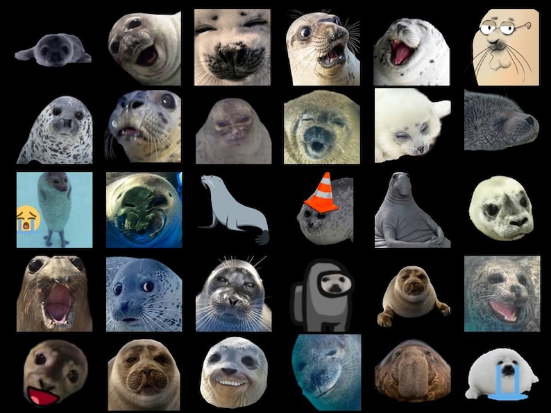 90 Seal Emotes Pack | Memes | Static | Twitch Emotes | Discord Emotes ...