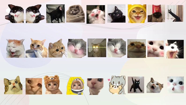 170 Cat Emotes Pack Twitch Emotes Discord Emotes Cute Cat Emotes for ...