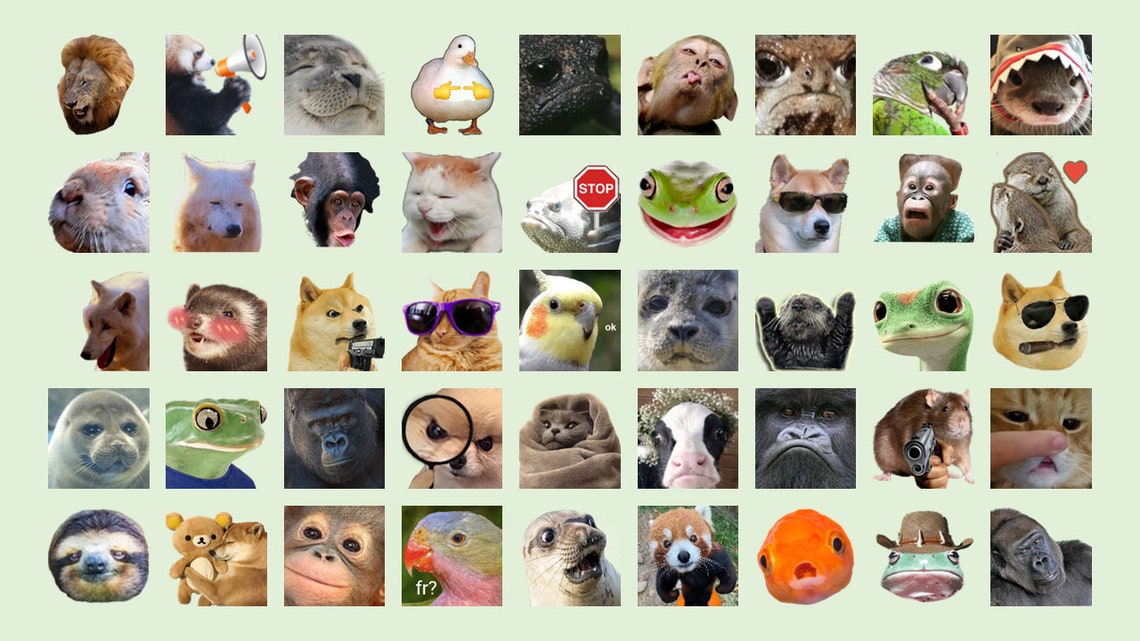 140 Random Animal Emotes for Twitch and Discord Twitch Emotes Discord ...