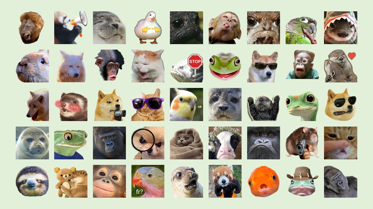 140 Random Animal Emotes for Twitch and Discord | Twitch Emotes ...