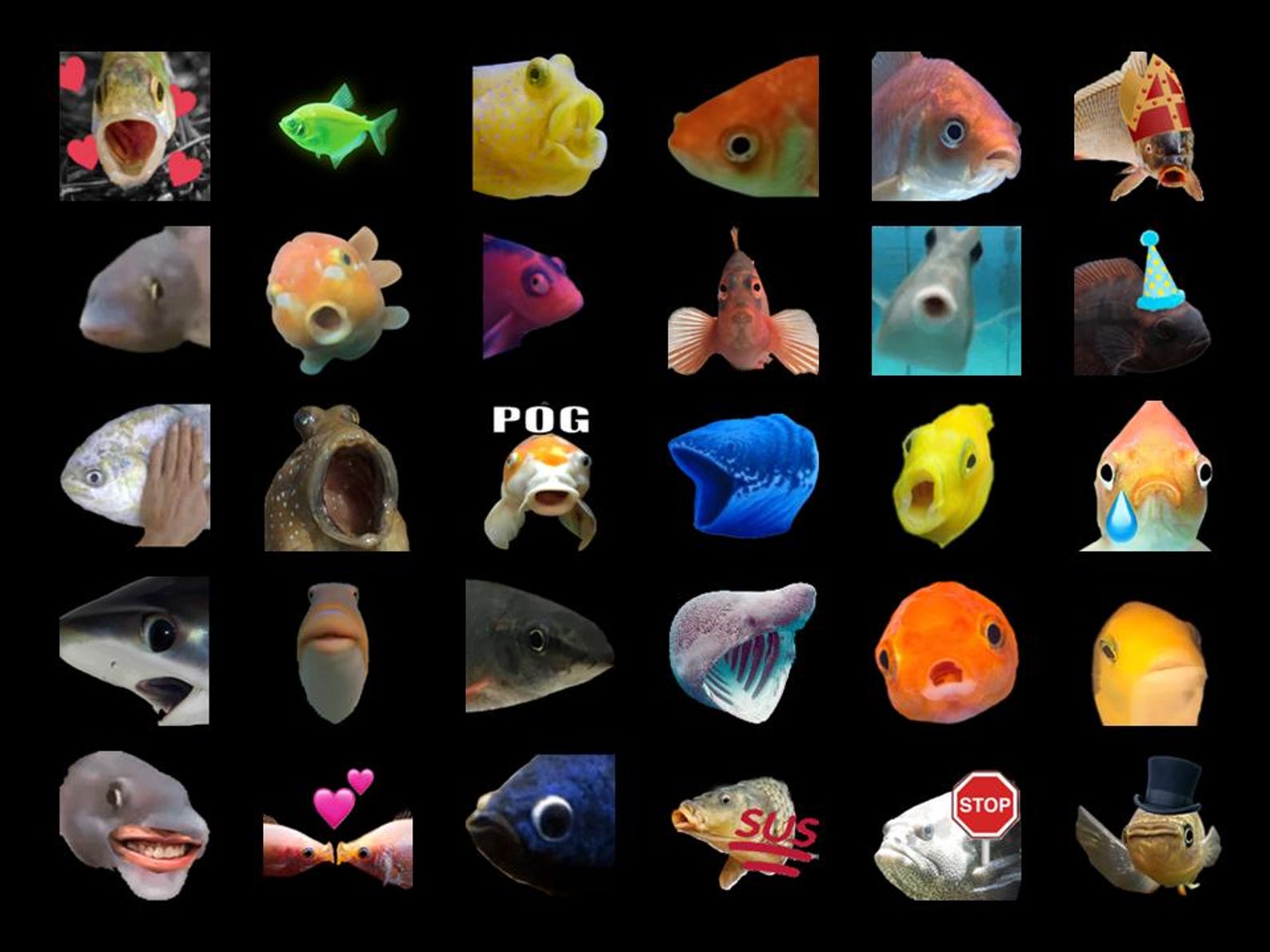 60 Fish Emotes Pack | Static | Twitch Emotes | Discord Emotes | Text ...