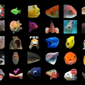 60 Fish Emotes Pack | Static | Twitch Emotes | Discord Emotes | Text ...