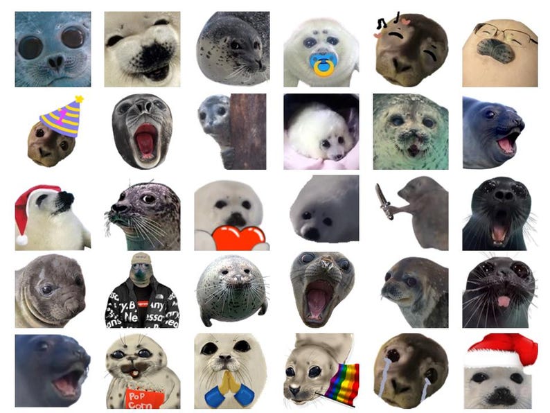 90 Seal Emotes Pack | Memes | Static | Twitch Emotes | Discord Emotes ...