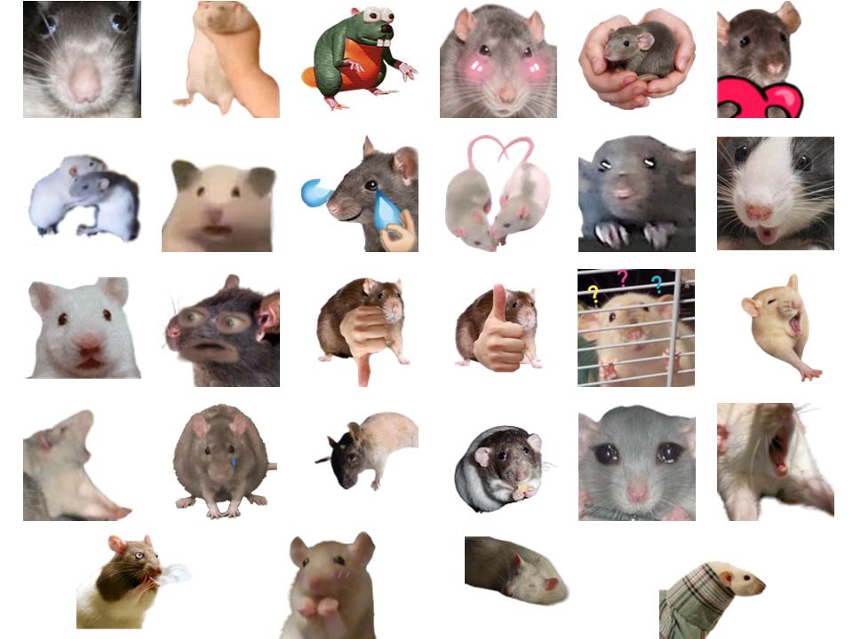 50 Rat Emotes Pack | Mouse | Static | Twitch Emotes | Discord Emotes ...