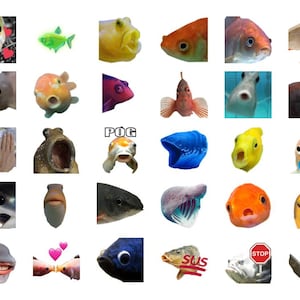 60 Fish Emotes Pack | Static | Twitch Emotes | Discord Emotes | Text ...