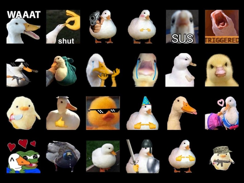 50 Duck Emotes Pack | Goose | Static | Twitch Emotes | Discord Emotes ...