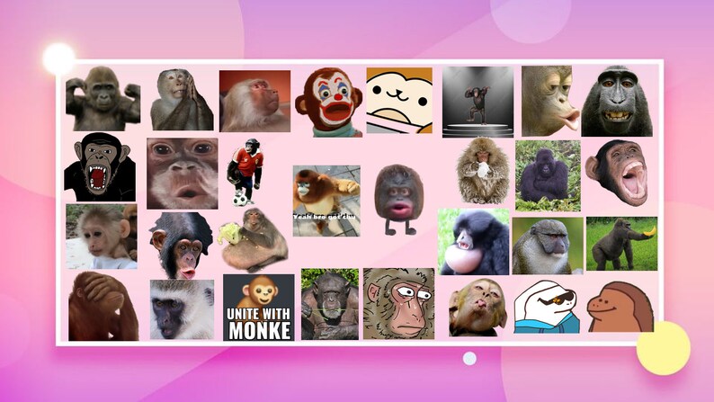 70 Monkey Emotes Mega Pack Twitch Emotes Discord Emotes Text Emotes for ...