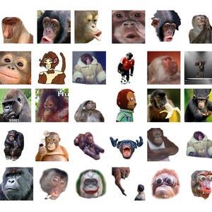 170 Monkey Emotes Mega Pack | Twitch Emotes | Discord Emotes | Text ...