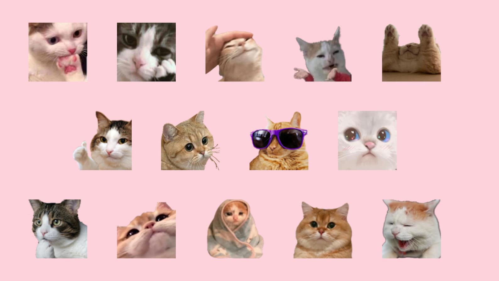 50 Emotes de gatos lindos para Twitch y Discord / Twitch Meme Emotes ...