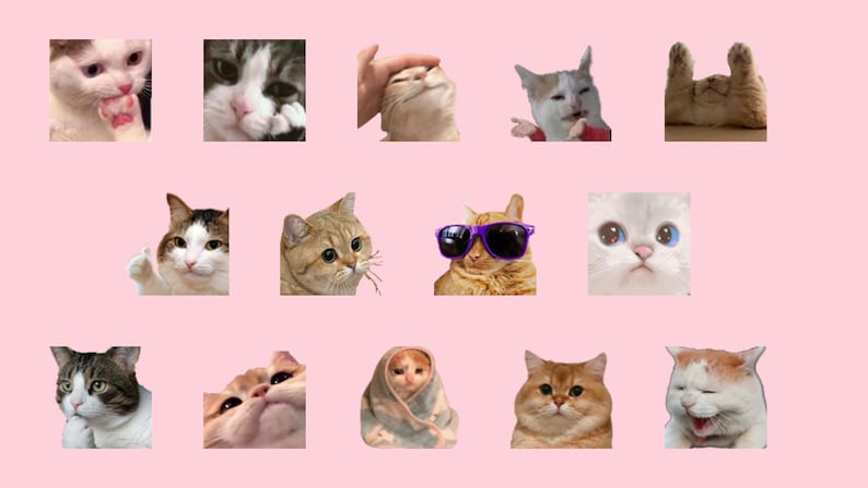 50 Cute Cats Emotes for Twitch and Discord | Twitch Meme Emotes ...