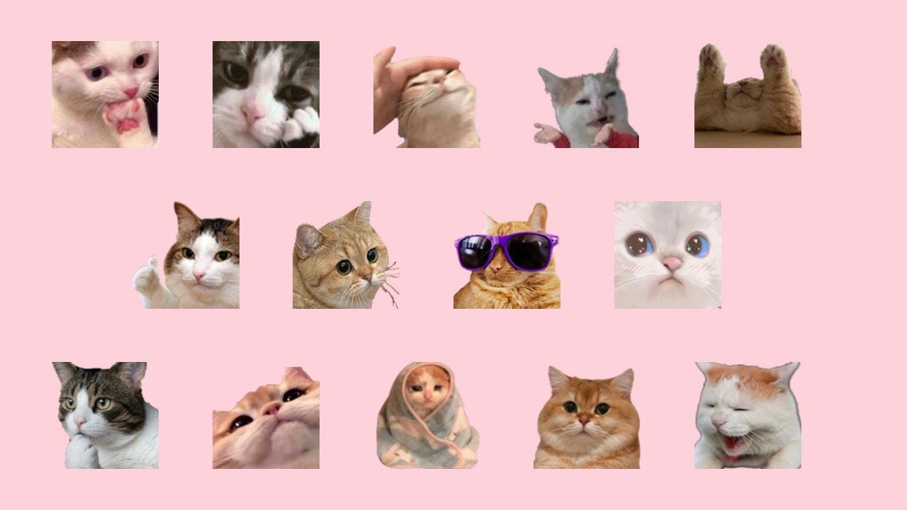 50 Cute Cats Emotes for Twitch and Discord | Twitch Meme Emotes ...