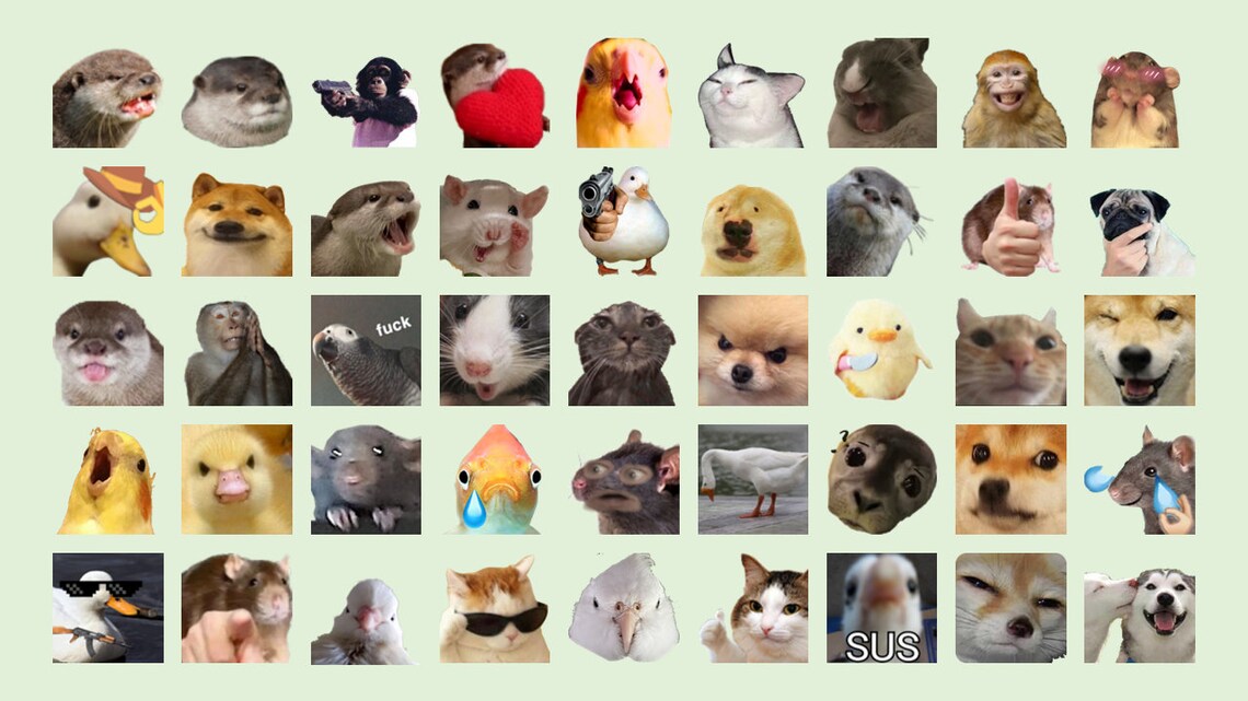 140 Random Animal Emotes for Twitch and Discord Twitch Emotes Discord ...