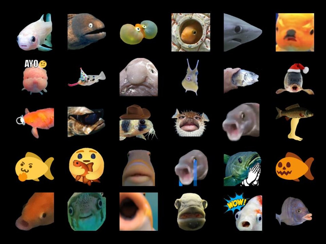 60 Fish Emotes Pack | Static | Twitch Emotes | Discord Emotes | Text ...