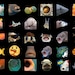 60 Fish Emotes Pack | Static | Twitch Emotes | Discord Emotes | Text ...