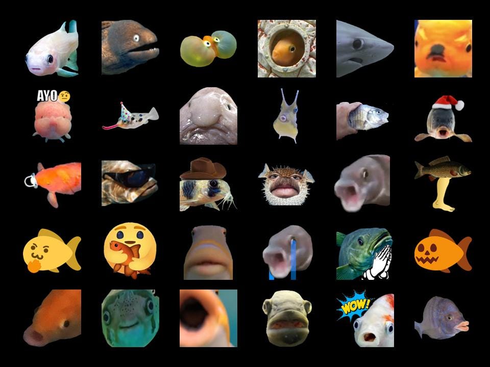 60 Fish Emotes Pack | Static | Twitch Emotes | Discord Emotes | Text ...