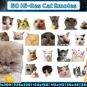 50 Cat Emotes for Kick, Tiktok, Twitch | Discord Emotes | Twitch Emote ...