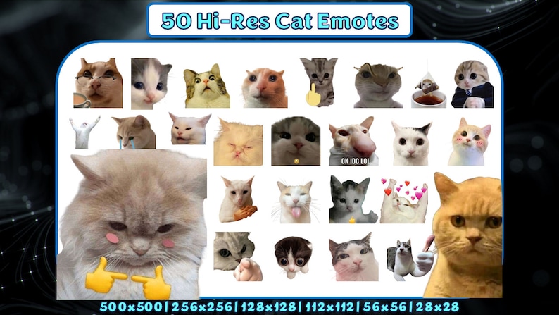 50 Cat Emotes for Kick, Tiktok, Twitch | Discord Emotes | Twitch Emote ...